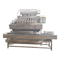 China 300 kg/h Capacity Shrimp Skin Peeling Machine with State-of-the-Art Cleaning System for sale