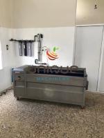 China Electric Potato Peeler Roller Washing Peeling Cleaning Machine Output Name Peeled Potato for sale