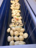 China Electric Potato Peeler Roller Washing Peeling Cleaning Machine Output Name Peeled Potato for sale