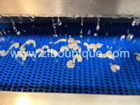 China 300 Kg/H Shrimp Peeling Machine Prawn Shelling Solution Cleaning Machine for sale