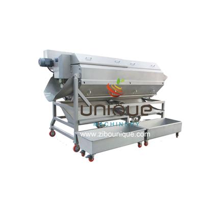 China Continuous Potato Cleaning and Polishing Processing Line with Perfect Peeling Effect for sale