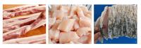 China Stainless Steel 304 Meat Cutting Machine for Fast and Accurate Meat Processing for sale