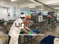China Commercial Usage Green Tea Washing Line for Myanmar Tea Leaf Processing from Zibounique for sale