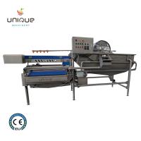 China Salad Leaf Vegetable Processing Line Take Your Salad Production to the Next Level for sale