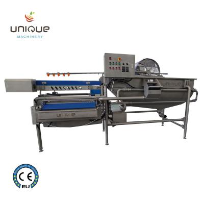 China Salad Leaf Vegetable Processing Line Take Your Salad Production to the Next Level for sale