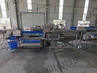 China Salad Leaf Vegetable Processing Line Take Your Salad Production to the Next Level for sale