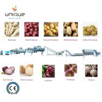 China 2200 KG Fruit and Vegetables Vacuum Packed Potato Processing Line for Precise Cutting for sale