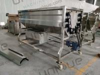 China Advanced Dates Palm Processing Machine with Automatic Brush Cleaning and Washing for sale