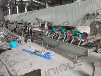 China 1.5kw Vegetable Blanching Equipment for Plantains and Coconuts Customized Voltage for sale