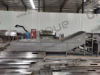 China 1.5kw Vegetable Blanching Equipment for Plantains and Coconuts Customized Voltage for sale