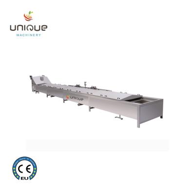 China Stainless Steel 304 Fruit and Vegetable Blanching Machine for Large-Scale Production for sale