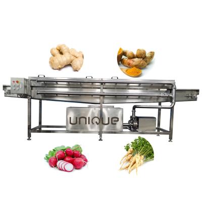 China Customizable Voltage High Pressure Spraying Washing Machine for Fruit and Vegetables for sale