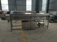 China Customizable Voltage High Pressure Spraying Washing Machine for Fruit and Vegetables for sale