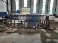 China Customizable Voltage High Pressure Spraying Washing Machine for Fruit and Vegetables for sale