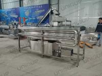 China Customizable Voltage High Pressure Spraying Washing Machine for Fruit and Vegetables for sale