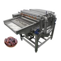 China Palm Dates Dust Removing Washing Cleaning Vibrating Machine with Stainless Steel 304 for sale