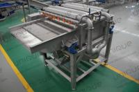 China Palm Dates Dust Removing Washing Cleaning Vibrating Machine with Stainless Steel 304 for sale