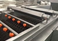 China Vegetable Carrot Potato Ginger Brush Roller Washer Machine for Washing and Cleaning for sale