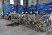 China Hot Air Roller Belt Mesh Conveyor High Pressure Fans Air Dryer for Fruit and Vegetable for sale