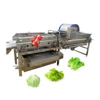 China Stainless Steel Industrial Fruit and Vegetable Washing Machine for sale