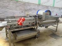 China High Capacity 2000kg/h Vegetable Cutting Cabbage Lettuce Washing Processing Line Machinery for sale