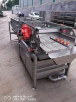 China High Capacity 2000kg/h Vegetable Cutting Cabbage Lettuce Washing Processing Line Machinery for sale