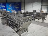 China Upgrade Your Salad Line with Our and Improved Industrial Vegetable Washing Machine for sale