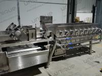 China Upgrade Your Salad Line with Our and Improved Industrial Vegetable Washing Machine for sale