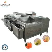 China Directly Sells Fruit and Vegetable Washing Machine with Customized Voltage for sale