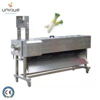 China Big Root Vegetable Daikon Radish Mooli Skin Knife Peeling Machine 0.75kw for sale