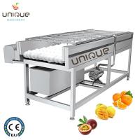 China 2021 Prickly Pear Fruit Washing Polishing Cleaning Machine with Stainless Steel 304 for sale