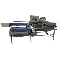 China Customized Voltage 1.5t/h Capacity Vegetable and Salad Washing Machine for Cleaning for sale