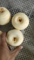 China Fruit Peeling Function Commercial Electric Apple Peeler Corer Slicer 2500*1000*1500 mm for sale