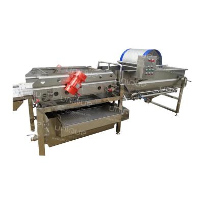 China High Capacity 2000kg/h Vegetable Cutting Cabbage Lettuce Washing Processing Line Machinery for sale