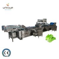 China Stainless Steel 304 Onion and Parsley Leaf Vegetable Washing Machine with Performance for sale