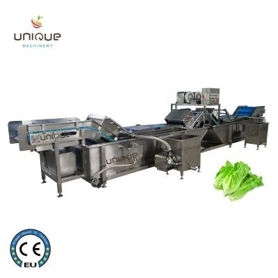 China Stainless Steel 304 Onion and Parsley Leaf Vegetable Washing Machine with Performance for sale