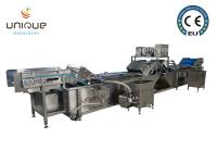 China Stainless Steel 304 Onion and Parsley Leaf Vegetable Washing Machine with Performance for sale