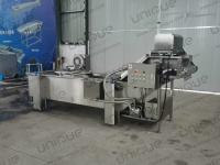 China 850 KG Capacity Leaf Vegetable Bubble Washing Line for Manufacturing Plant Production for sale