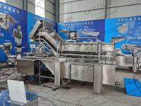 China 850 KG Capacity Leaf Vegetable Bubble Washing Line for Manufacturing Plant Production for sale