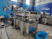 China 850 KG Capacity Leaf Vegetable Bubble Washing Line for Manufacturing Plant Production for sale