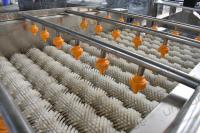 China 3000*1250*1350 mm Sweet Potato Vegetable Taro Yam Washing Machine for Food Processing for sale