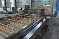 China 3000*1250*1350 mm Sweet Potato Vegetable Taro Yam Washing Machine for Food Processing for sale