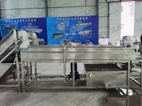 China 3000*1250*1350 mm Sweet Potato Vegetable Taro Yam Washing Machine for Food Processing for sale
