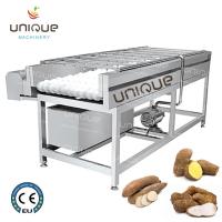 China 2.25 kw Oyster Vegetable Brush Washer for Yam and Malanga Washing in Large Scale for sale