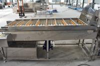China 2.25 kw Oyster Vegetable Brush Washer for Yam and Malanga Washing in Large Scale for sale