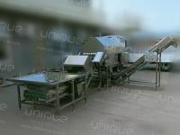 China Industrial 304 Stainless Steel Onion Peeling Machine with 3 kW Power and 380V Voltage for sale