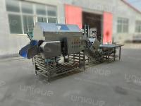 China Industrial 304 Stainless Steel Onion Peeling Machine with 3 kW Power and 380V Voltage for sale