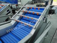 China Bubble Salad Cleaning Tank for Fruit and Vegetables Say Hello to Hassle-Free Cleaning for sale