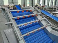China Bubble Salad Cleaning Tank for Fruit and Vegetables Say Hello to Hassle-Free Cleaning for sale