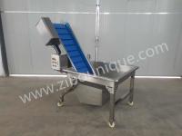 China 240 KG Automatic CE Certificate Vegetable Carrot Sweet Potato Soaking Elevator for Fruit and Vegetables for sale